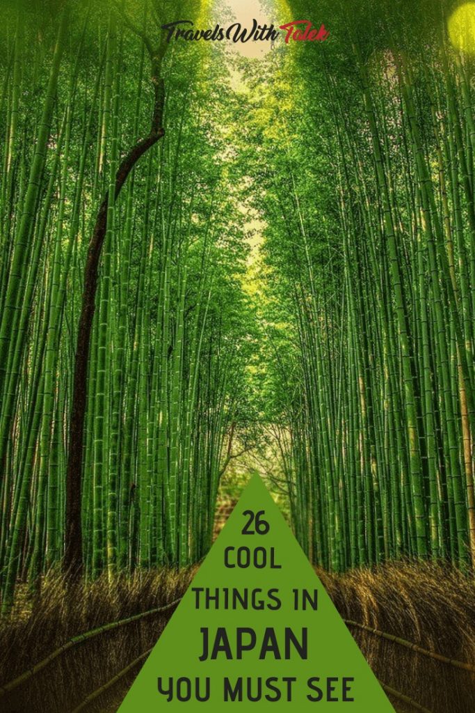 27 COOL THINGS IN JAPAN YOU MUST SEE - Travels with Talek