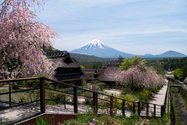 35 Cool Things in Japan You Must See - Travels with Talek