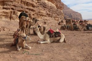 A 7-DAY ITINERARY FOR JORDAN: THE BEST OF JORDAN - Travels with Talek
