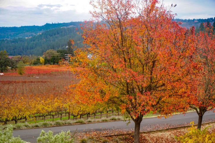 Where to See the Best Shades of Fall Foliage in the United States ...