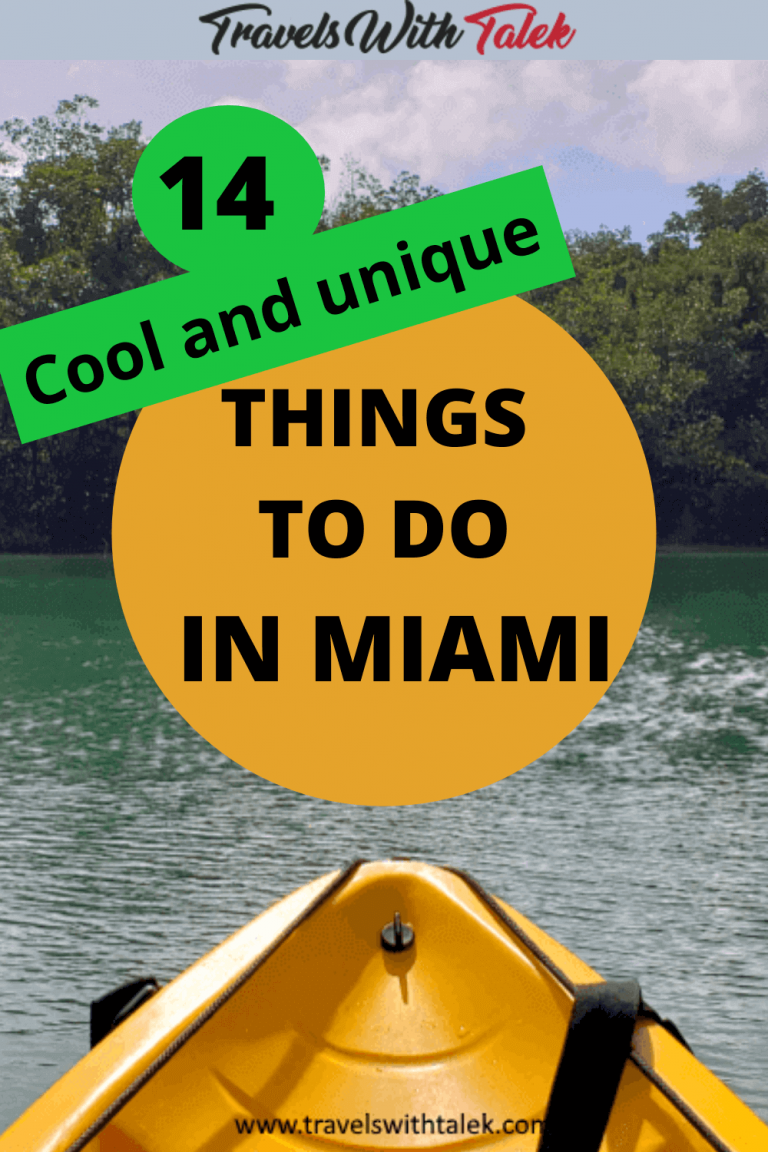 Cool and Unique Things to do in Miami - Travels with Talek