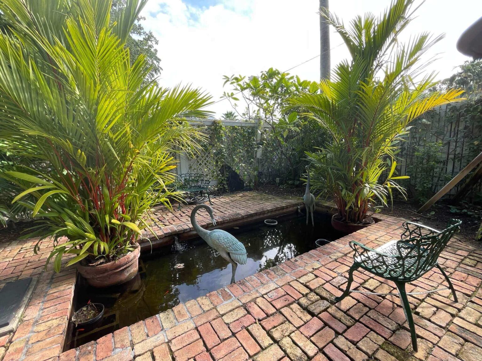 Best Weekend in Key West (that won't cost a fortune) - Travels with Talek