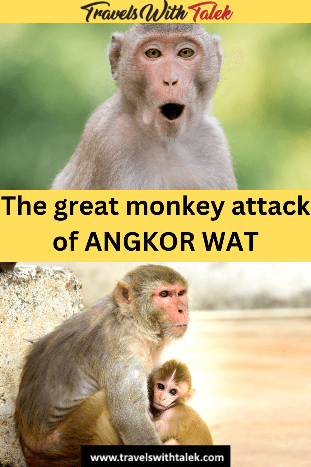CAMBODIA: THE GREAT MONKEY ATTACK OF ANGKOR WAT