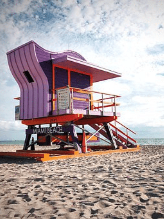 COOL AND UNIQUE THINGS TO DO IN MIAMI STORY - Travels with Talek
