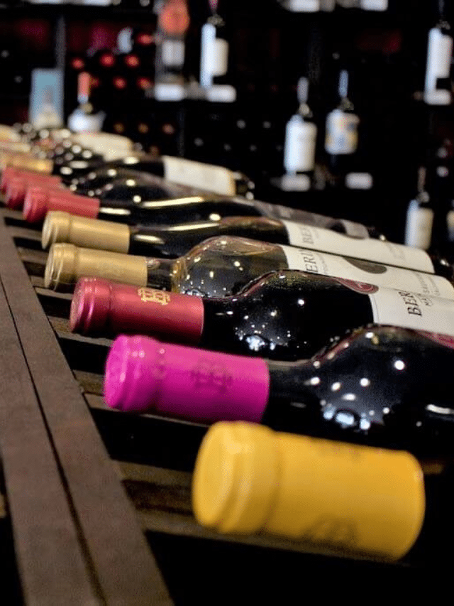 EXPERIENCE MENDOZA’S WINE CULTURE (ARGENTINA) STORY - Travels with Talek